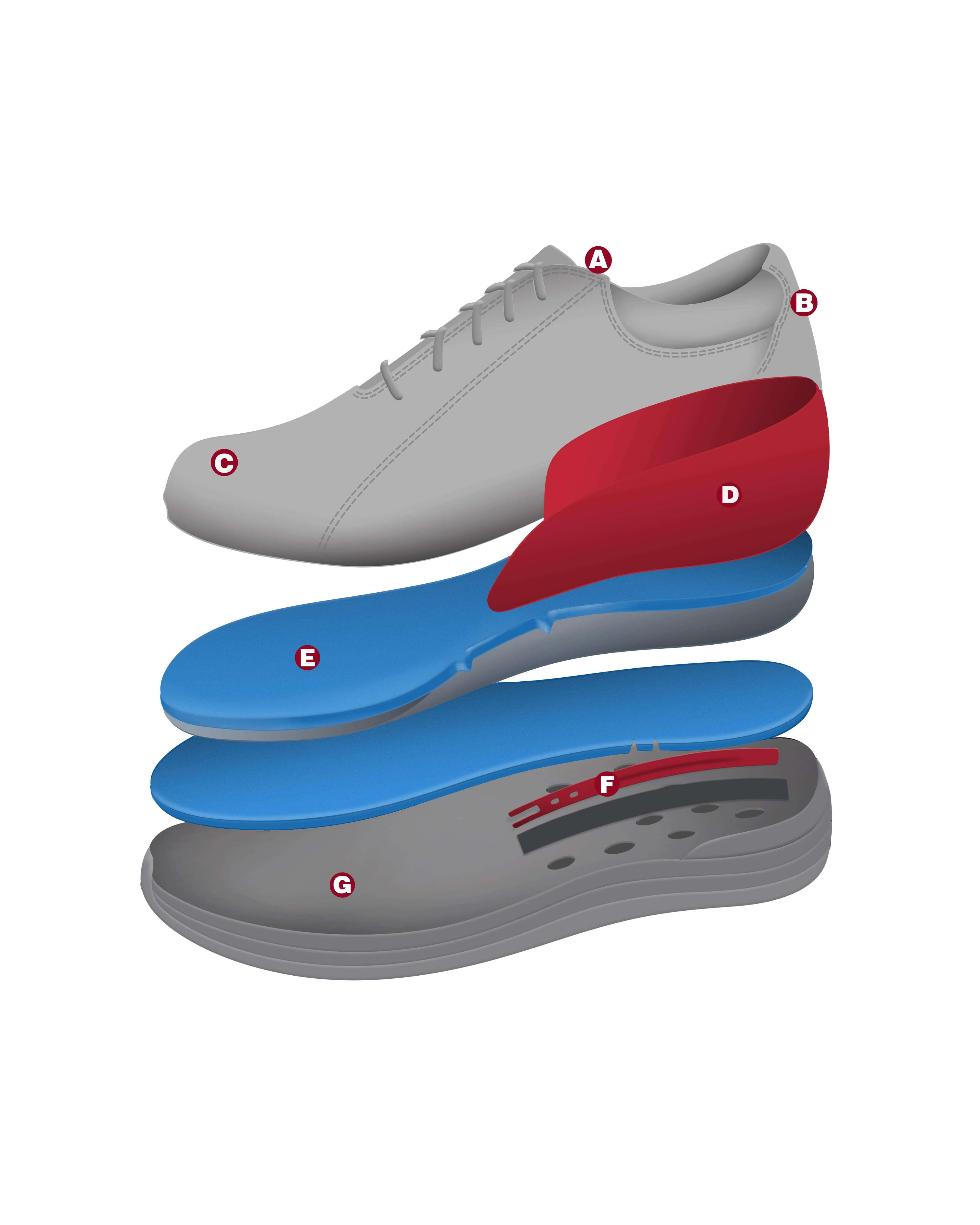 Understanding the Anatomy of Feet Soles | DiabeticShoe.in